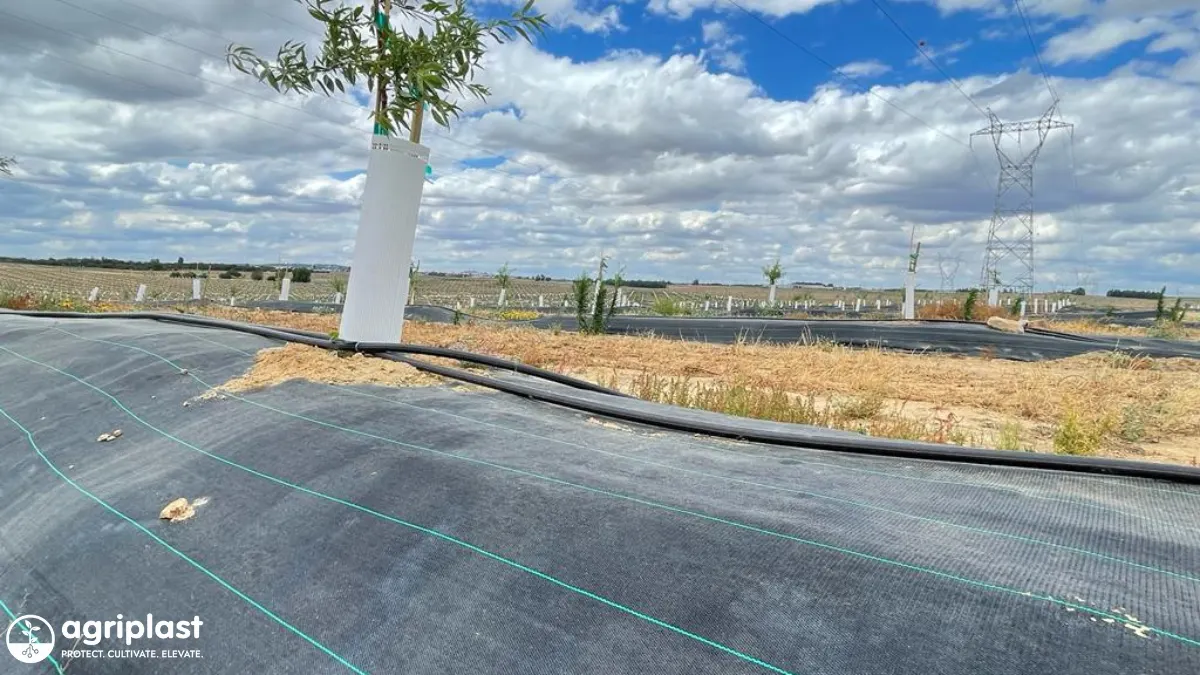 Weed Mat for Agriculture: Uses, Benefits, ROI & Buying Guide